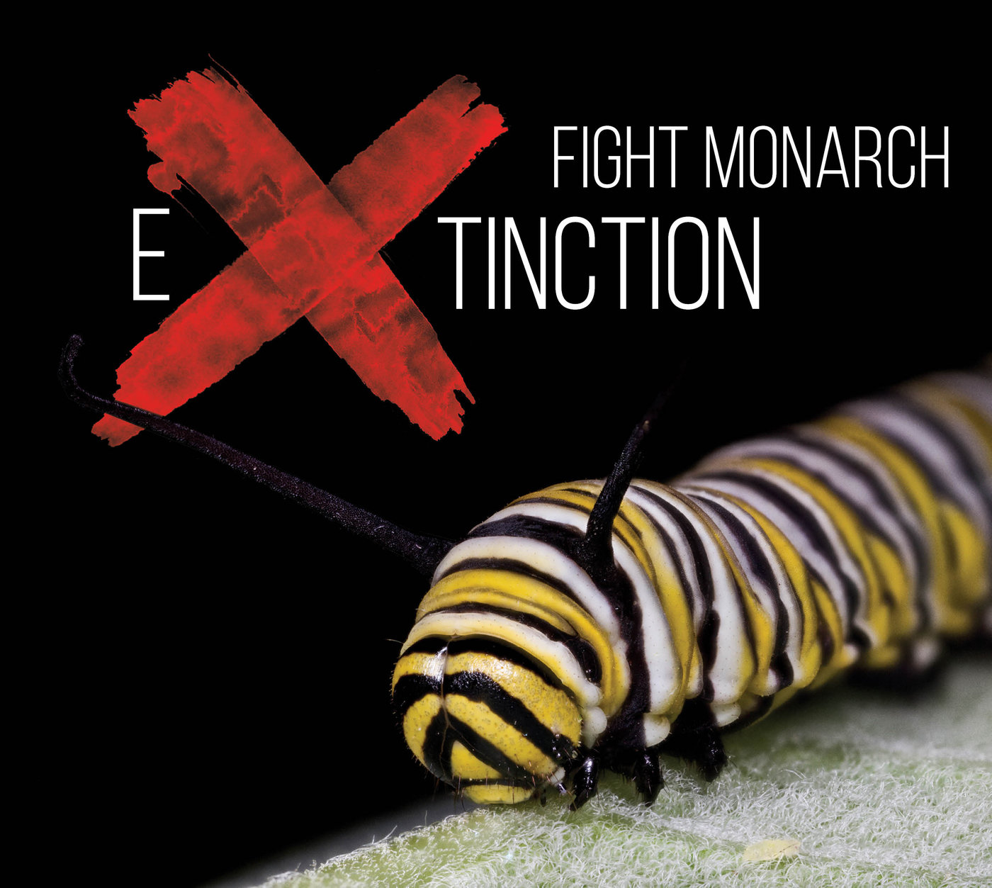 Monarch Extinction by Russ McSpadden at Coroflot.com