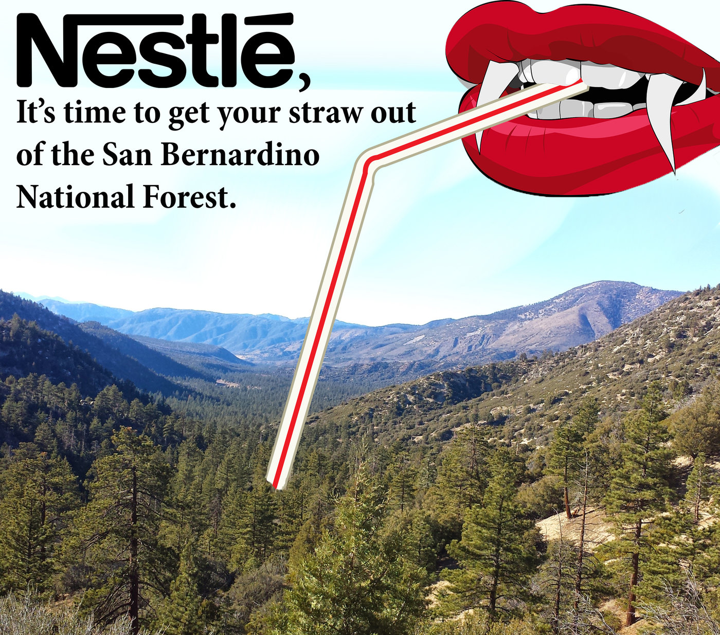 Nestle and the San Bernardino National Forest by Russ McSpadden at ...
