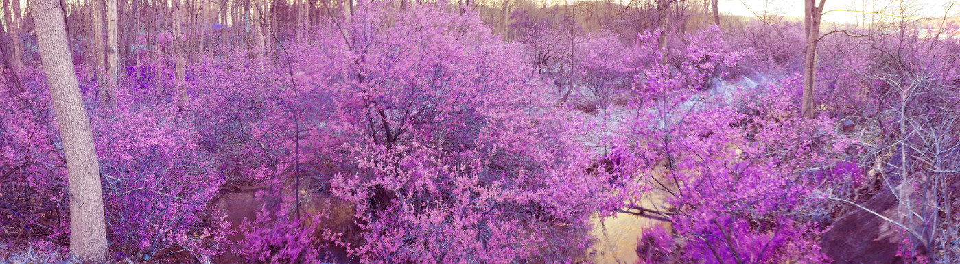 Game Landscape by Tim Pridham at Coroflot.com