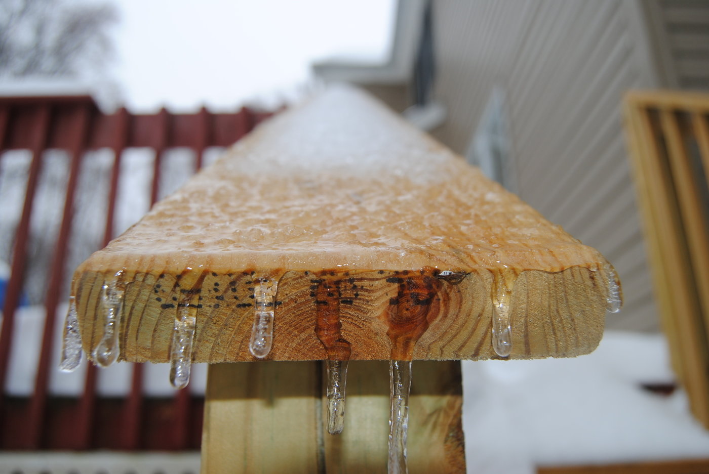 Elements of Art by Kelly Carolan at Coroflot.com