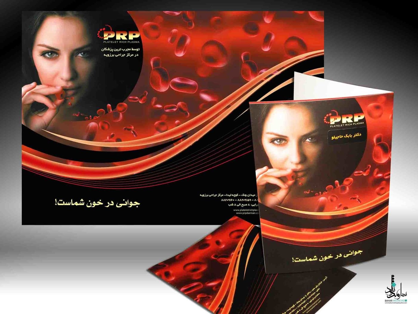 PRP brochure by Bahar Mednejad at Coroflot.com