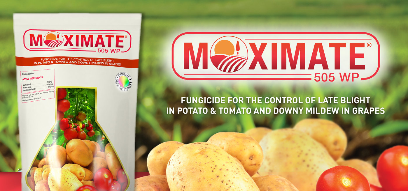 Moximate 505 WP Pacakging Design by Rino Hernandez at Coroflot.com