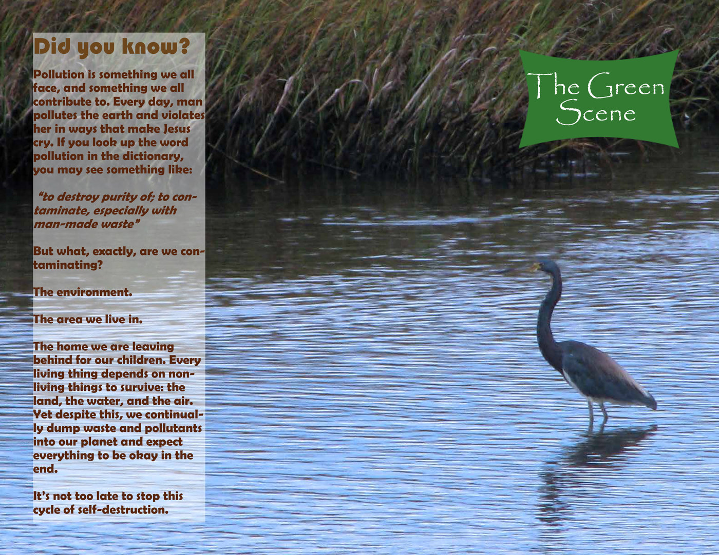 The Green Scene Brochure by Devon Lozano at Coroflot.com