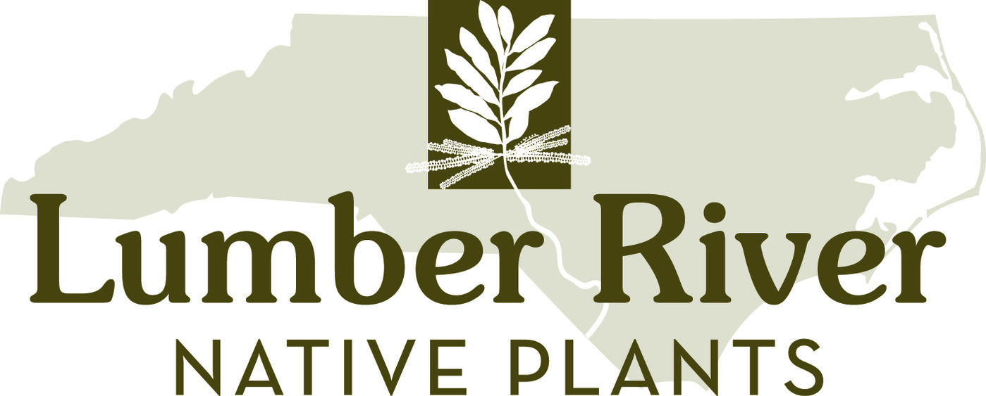 Logo Design by Betsy Powell Mantak at Coroflot.com