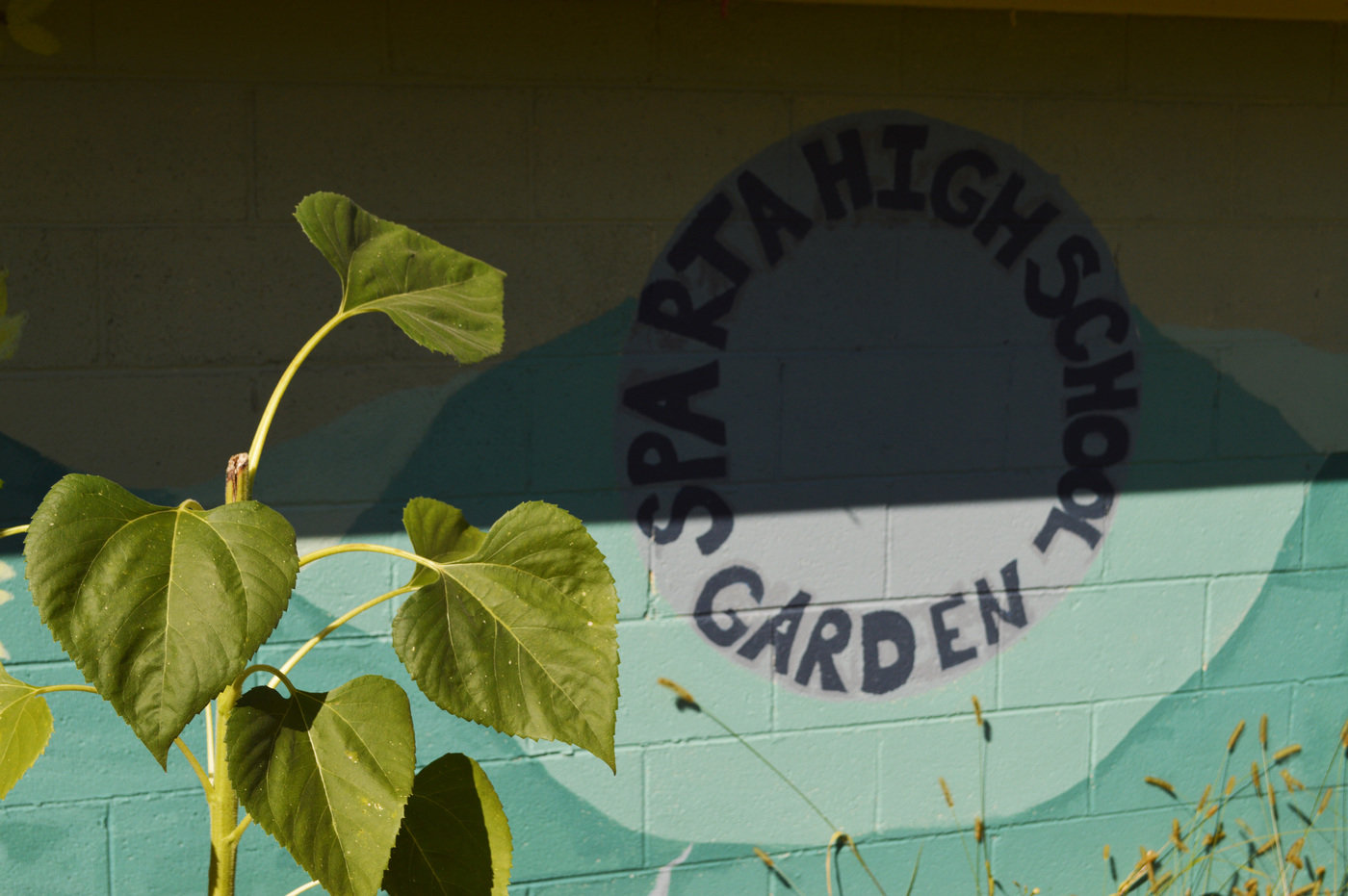 Principles of Design by Emily Lake at Coroflot.com