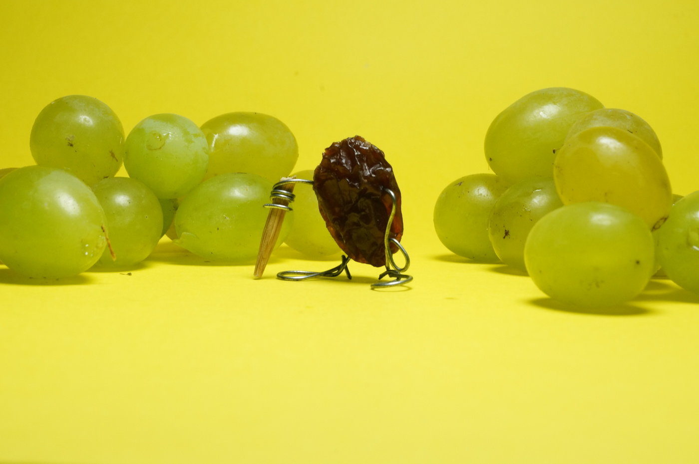 Imitación de fotografías de Terry Border by KAREN ELENA SA NCHEZ at ...