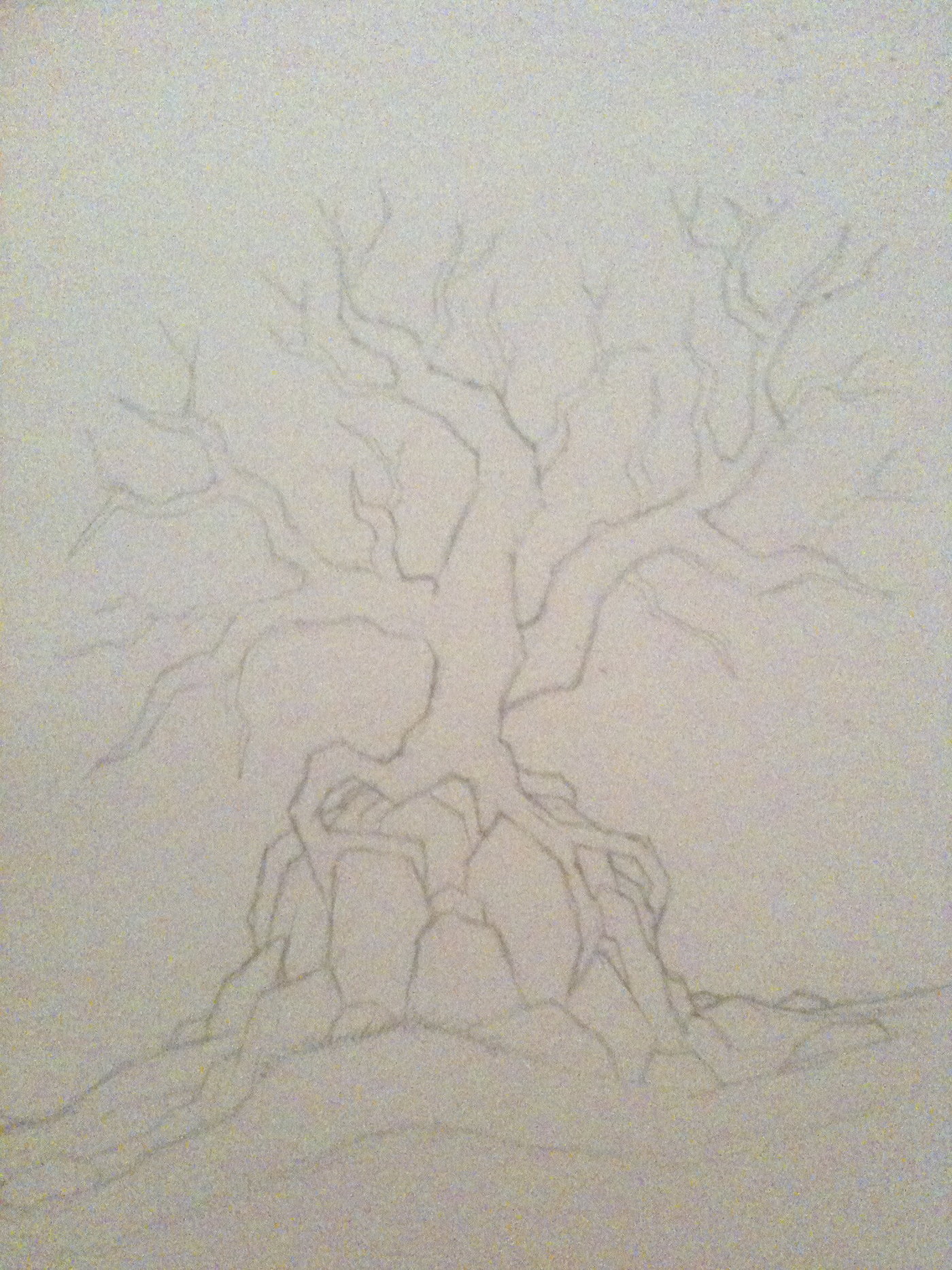 Old Man Tree by Robert Jack at Coroflot.com