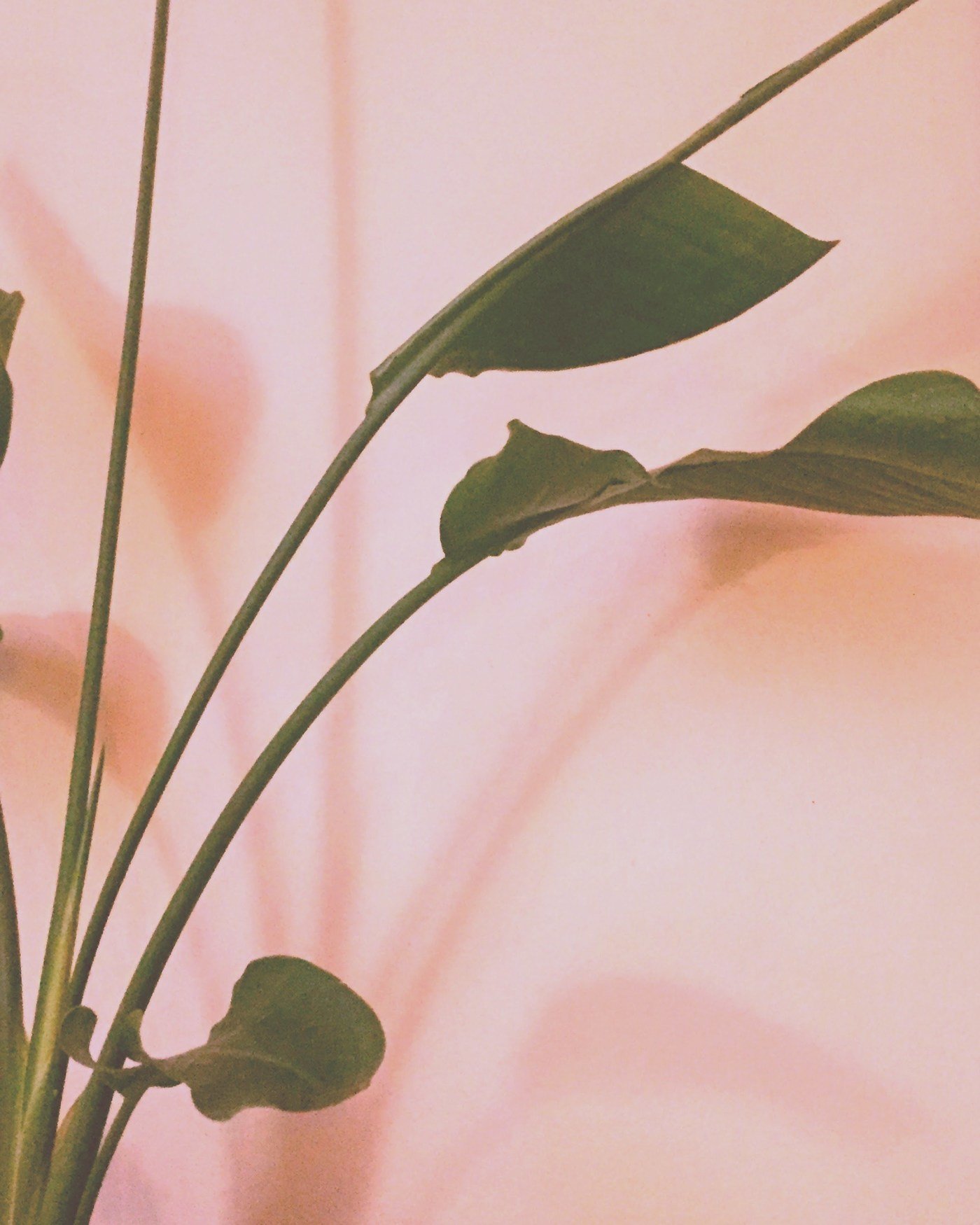 Abstract Nature Photography By Taylor Powers At Coroflot abstract-nature-photography-by-taylor-powers-at-coroflot