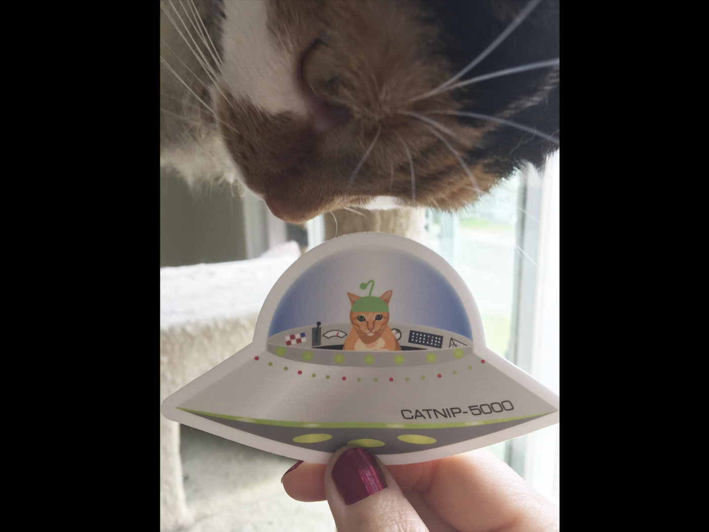 Catnip-5000 Alien Cat Stickers by Kelly Ann Raver at Coroflot.com