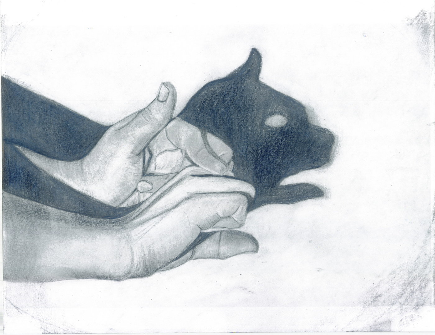 gestures by Maura Hogan at Coroflot.com