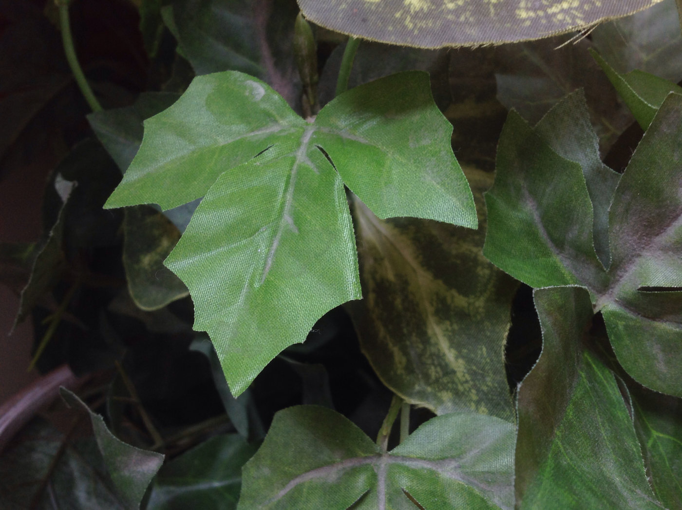 Green and Soft shoot by Kyle Borst at Coroflot.com