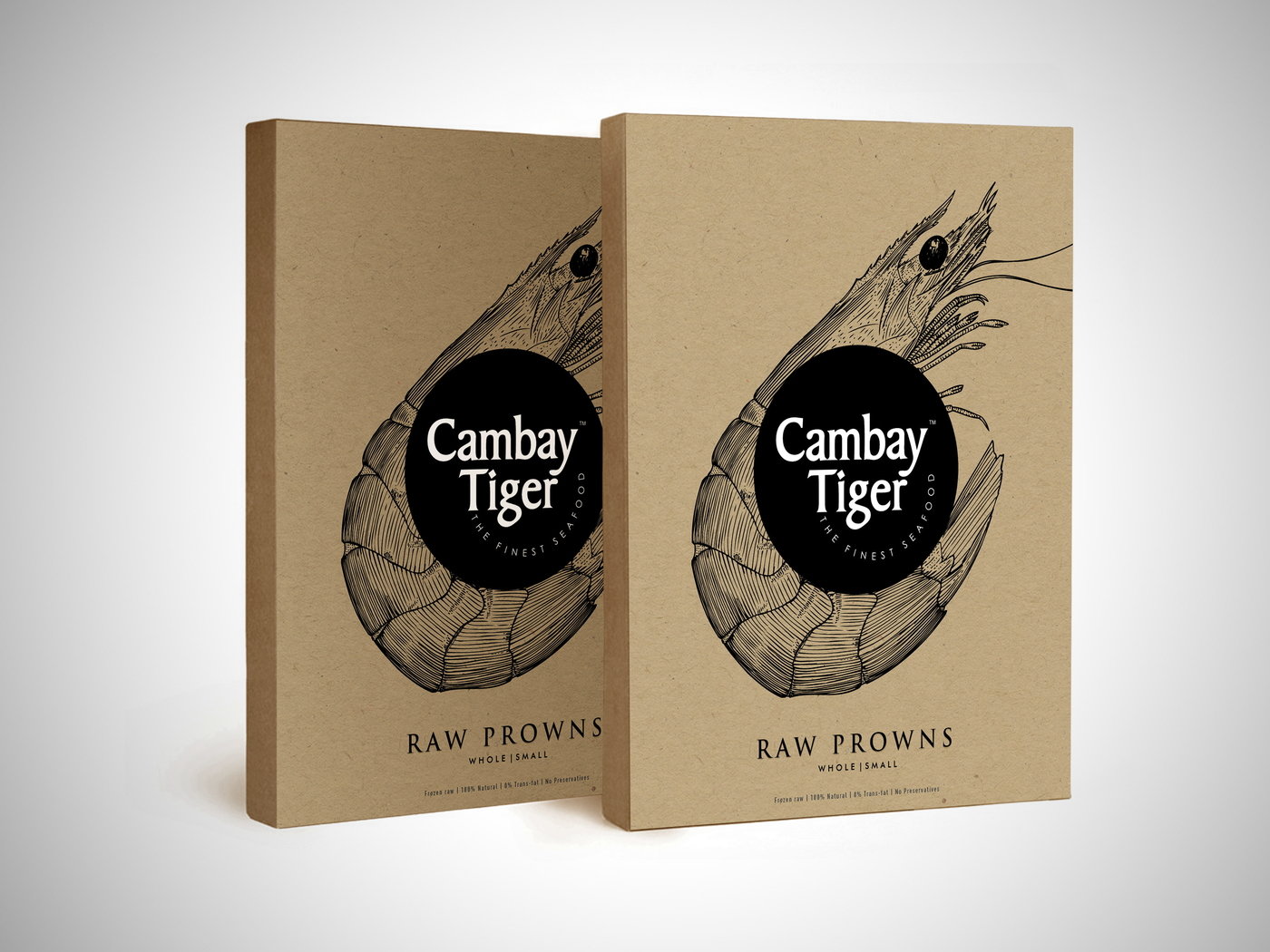 Cambay Tiger by Gaurav Ramugade at Coroflot.com