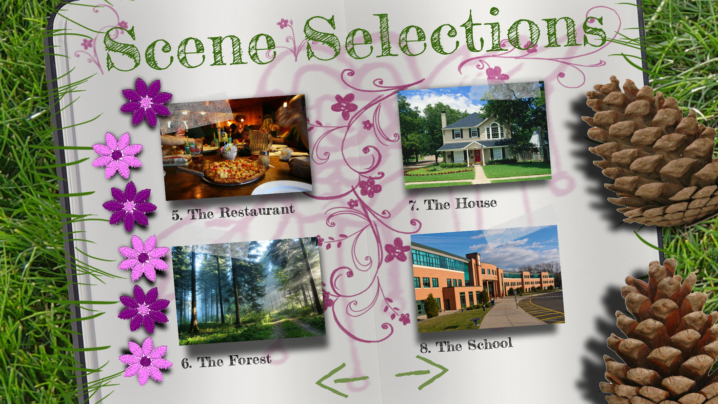 DVD Menu Selection by Allison Eilers at Coroflot.com