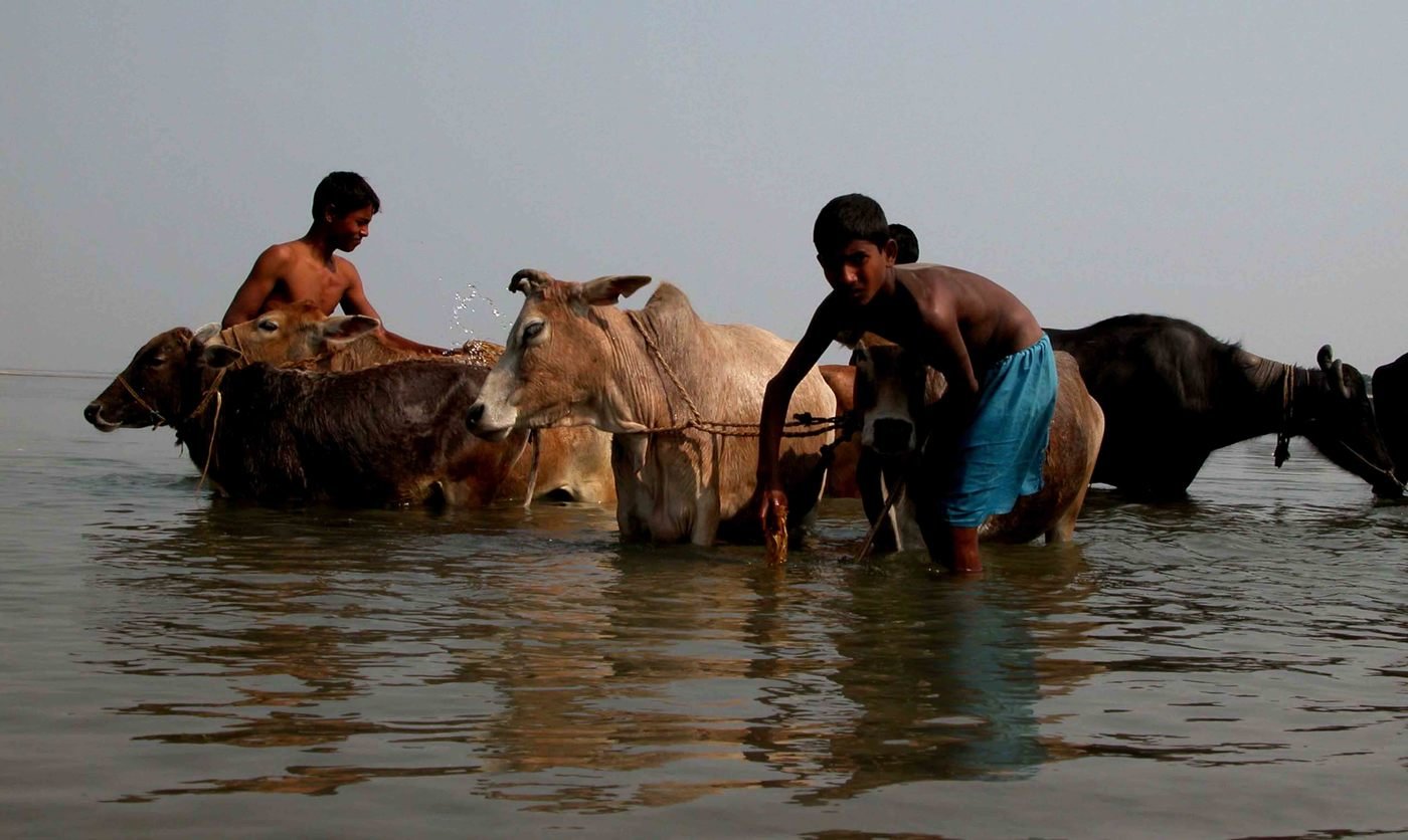 Lifeline of Char (River Island)s of Brahmaputra River in Indian State ...