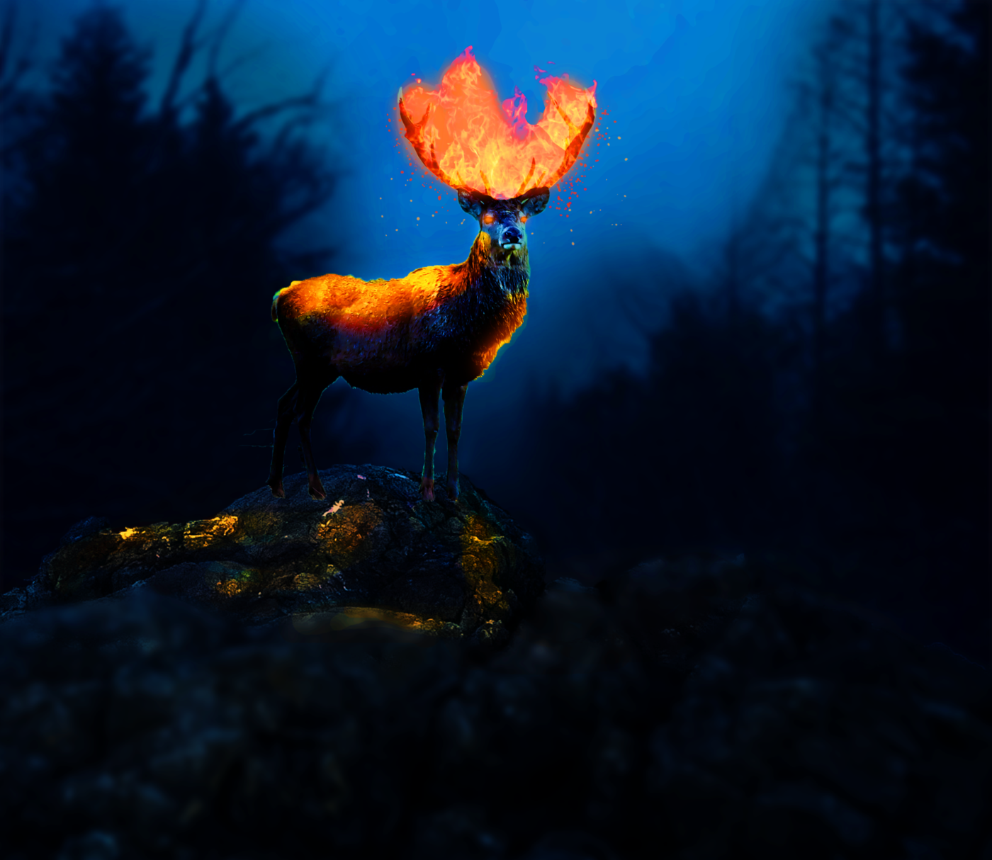 Fantasy Fire Deer by Yong Yong Liang at Coroflot.com