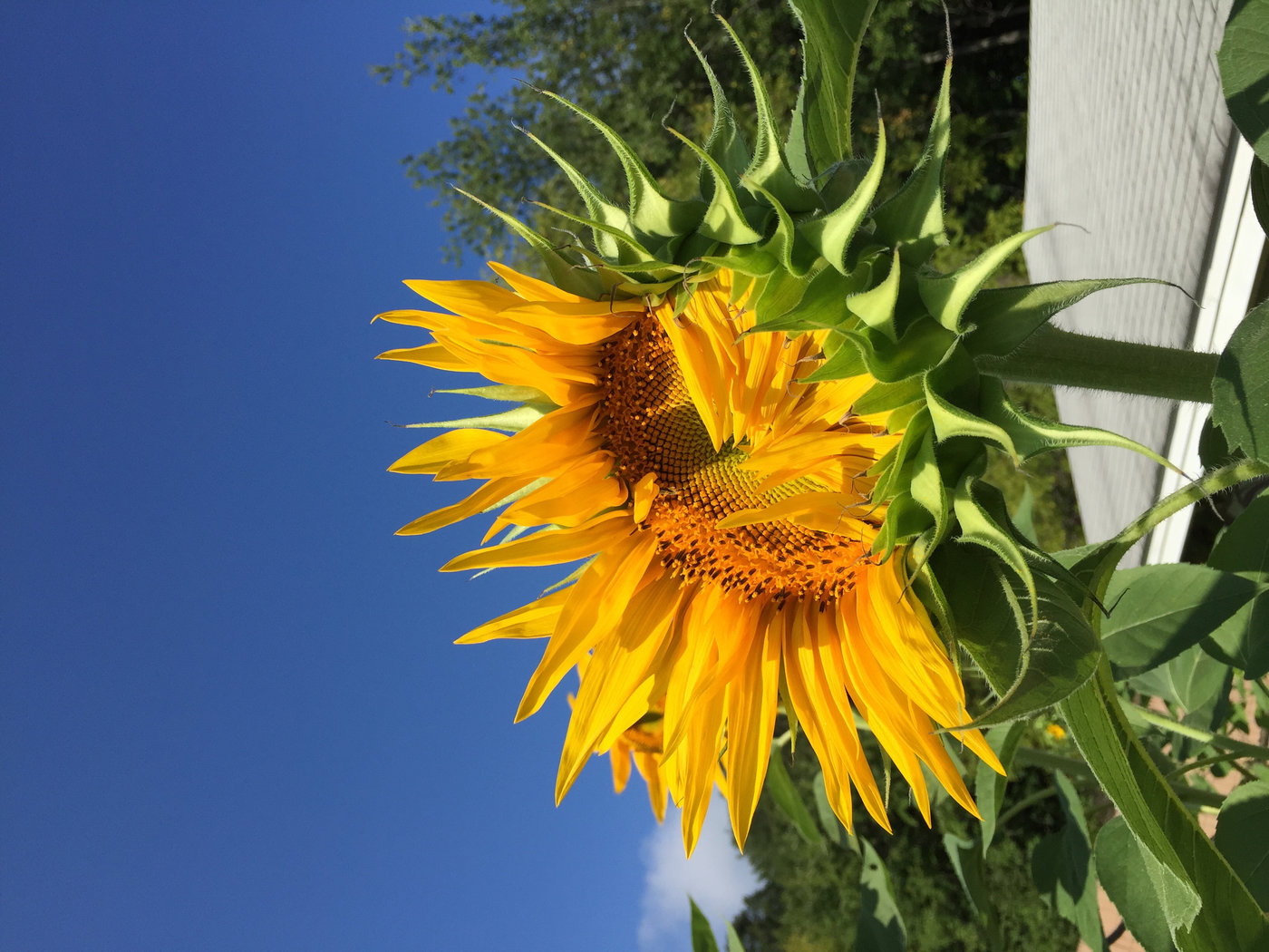 scavenger hunt by Ryan Pyper at Coroflot.com