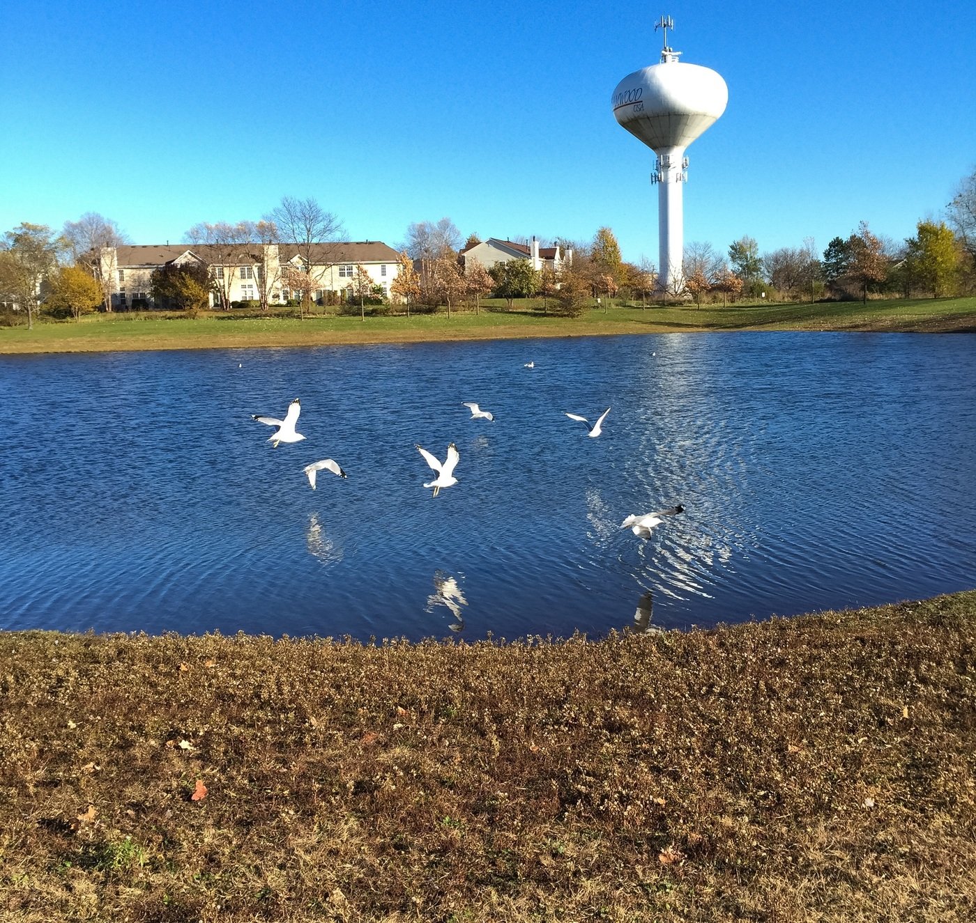 Homage Shoot by Ryan Suhanek at Coroflot.com