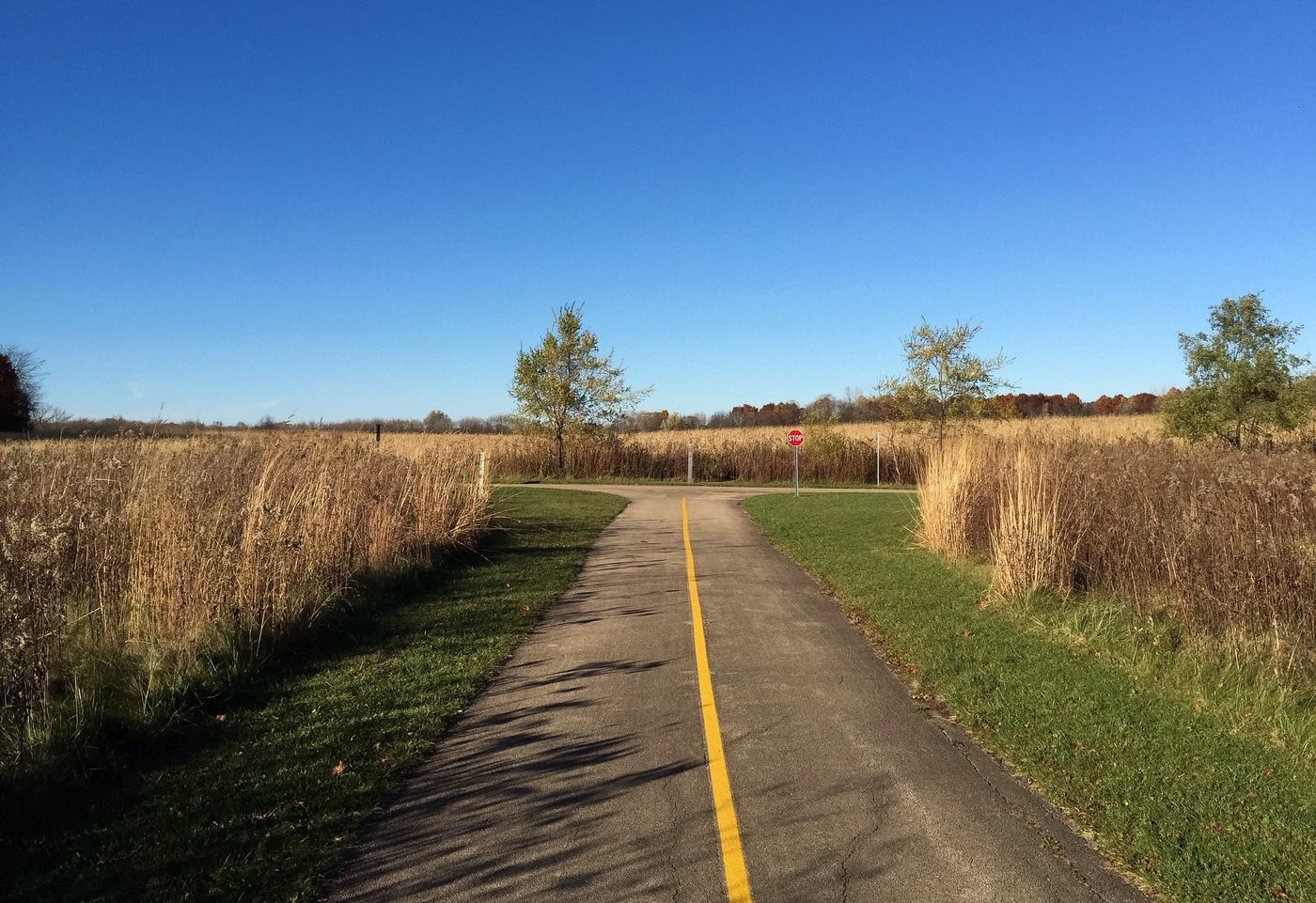 Homage Shoot by Ryan Suhanek at Coroflot.com