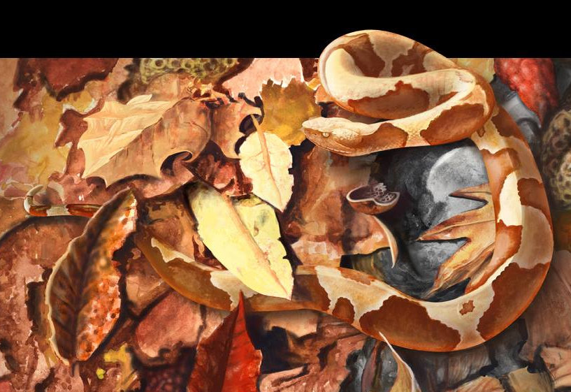 Holocene illustration by James Hays at Coroflot.com