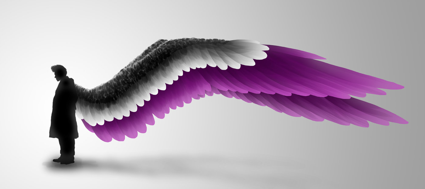 Ace Wings by K. BAUMGARTNER at Coroflot.com