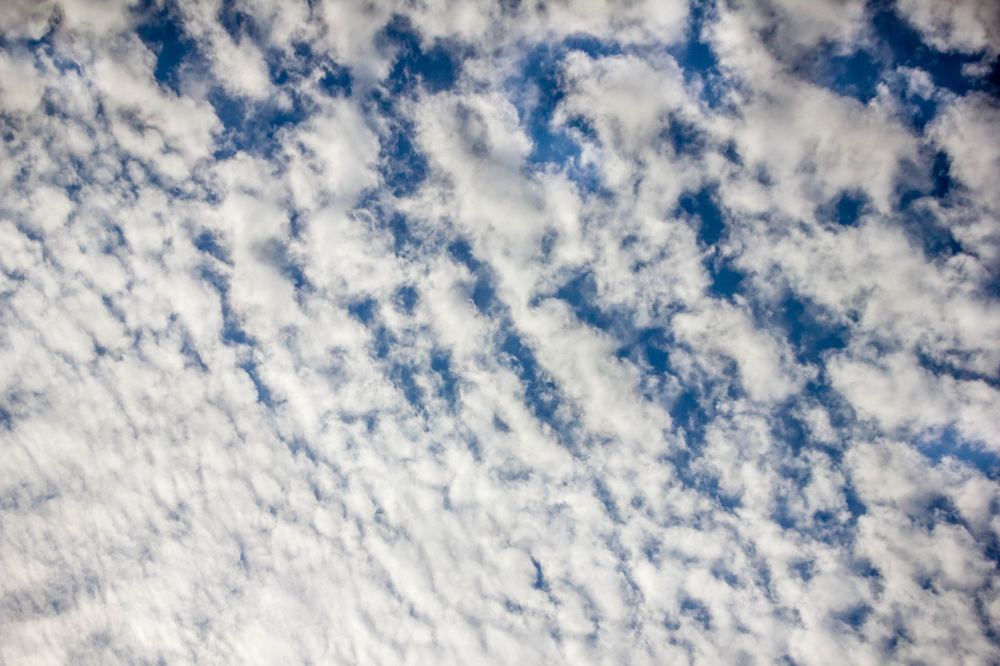 Warm Winter Day by Brian Henry at Coroflot.com