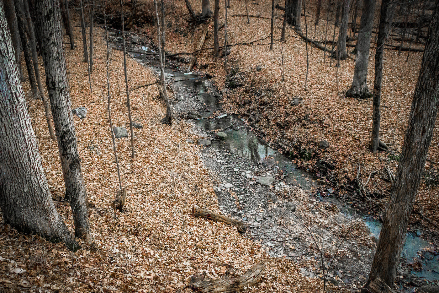 Warm Winter Day by Brian Henry at Coroflot.com