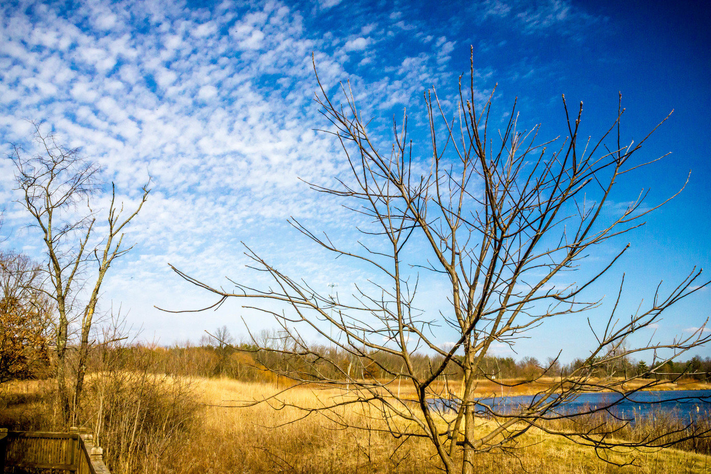 Warm Winter Day by Brian Henry at Coroflot.com