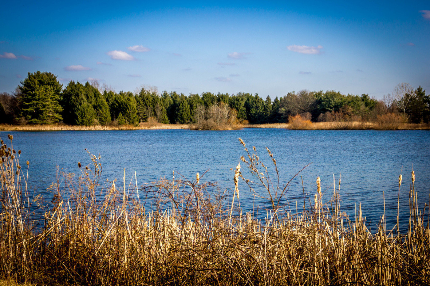 Warm Winter Day by Brian Henry at Coroflot.com