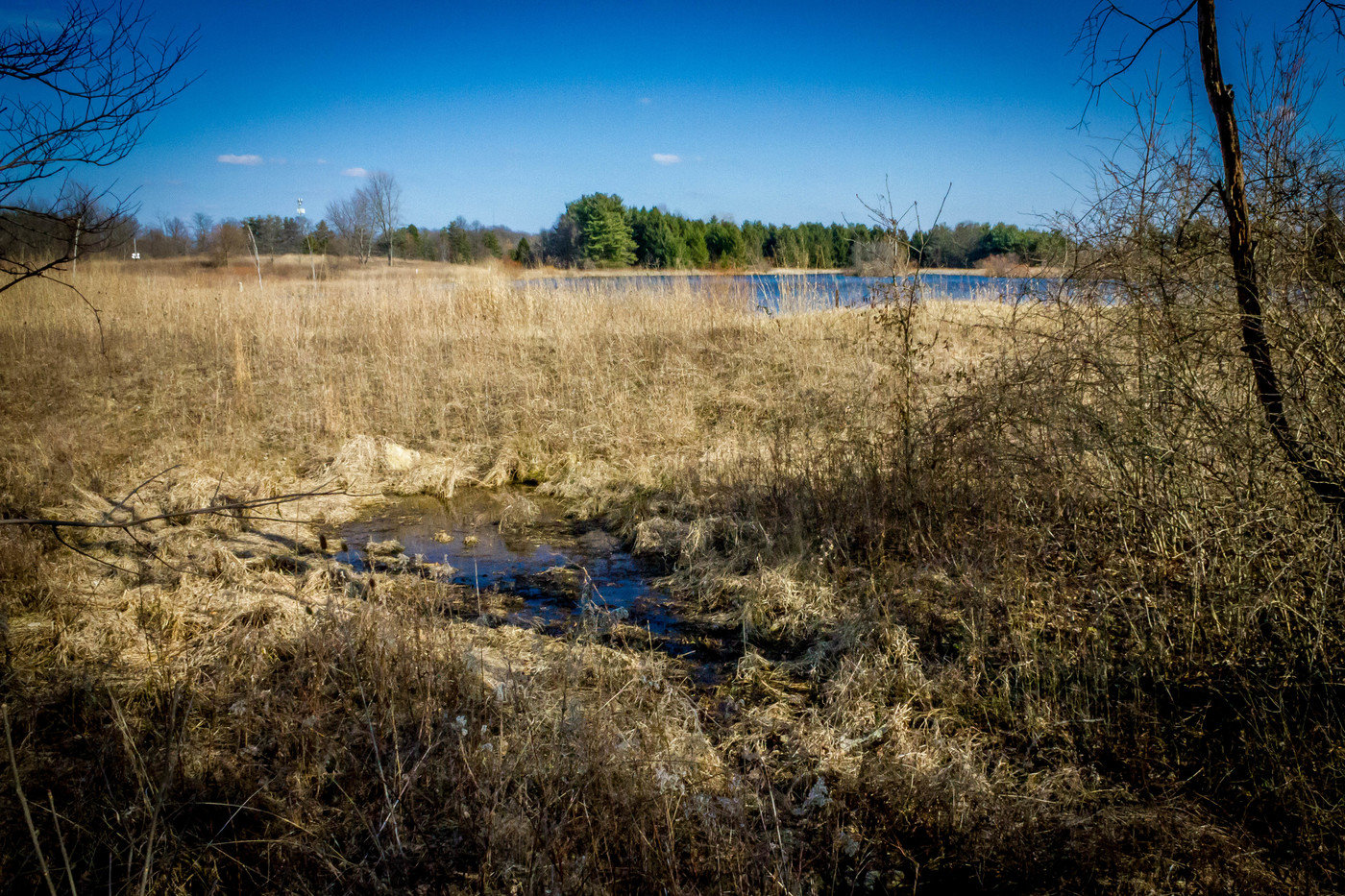 Warm Winter Day by Brian Henry at Coroflot.com