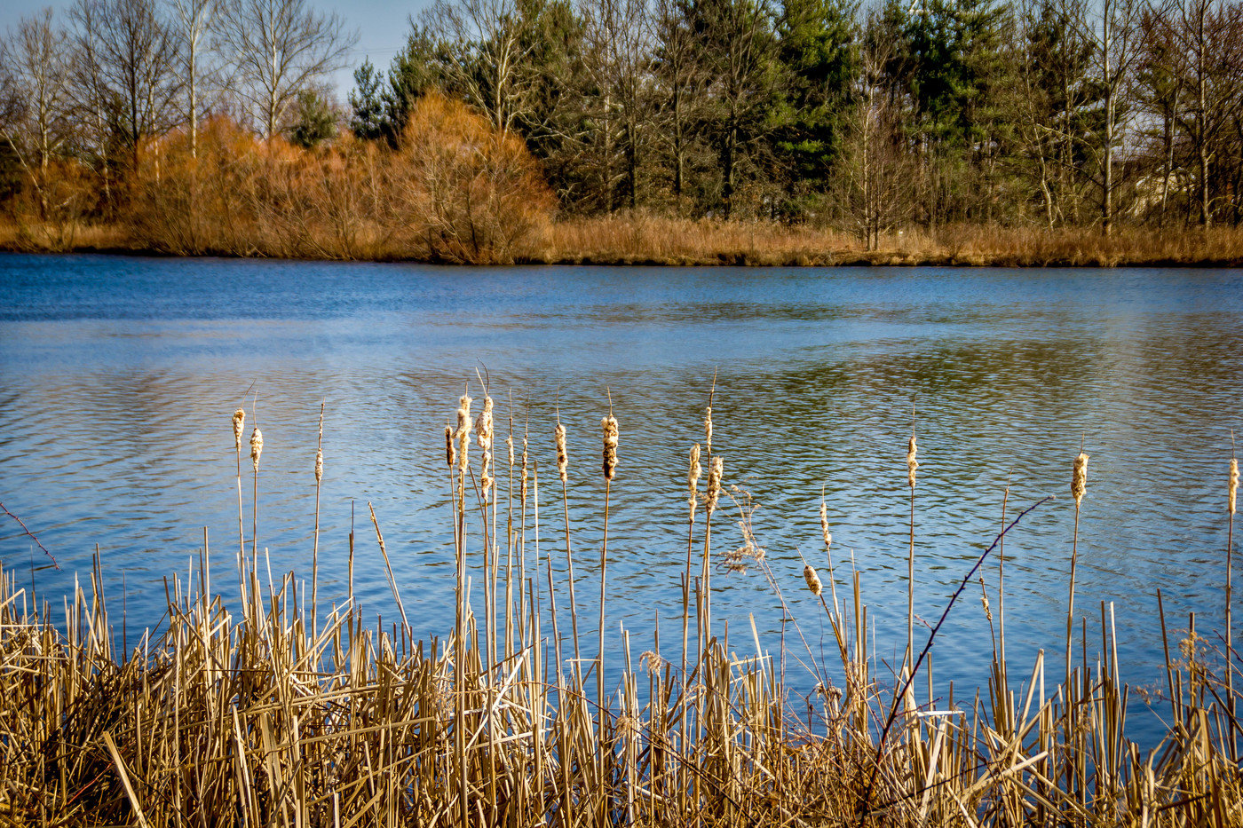 Warm Winter Day by Brian Henry at Coroflot.com