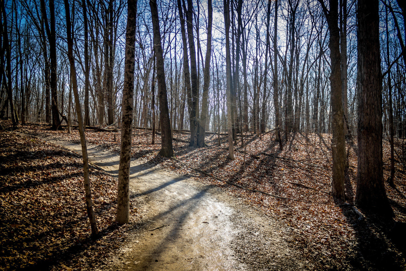 Warm Winter Day by Brian Henry at Coroflot.com