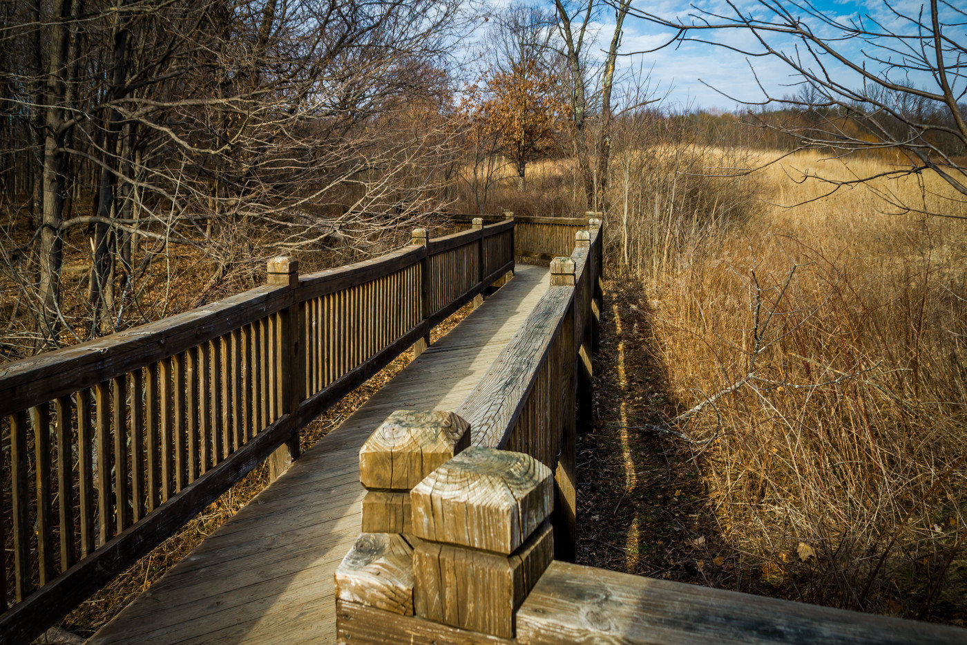 Warm Winter Day by Brian Henry at Coroflot.com