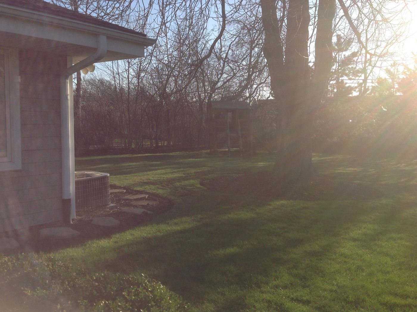 An upload by Jack Coney on Coroflot: to the project Homage Shoot