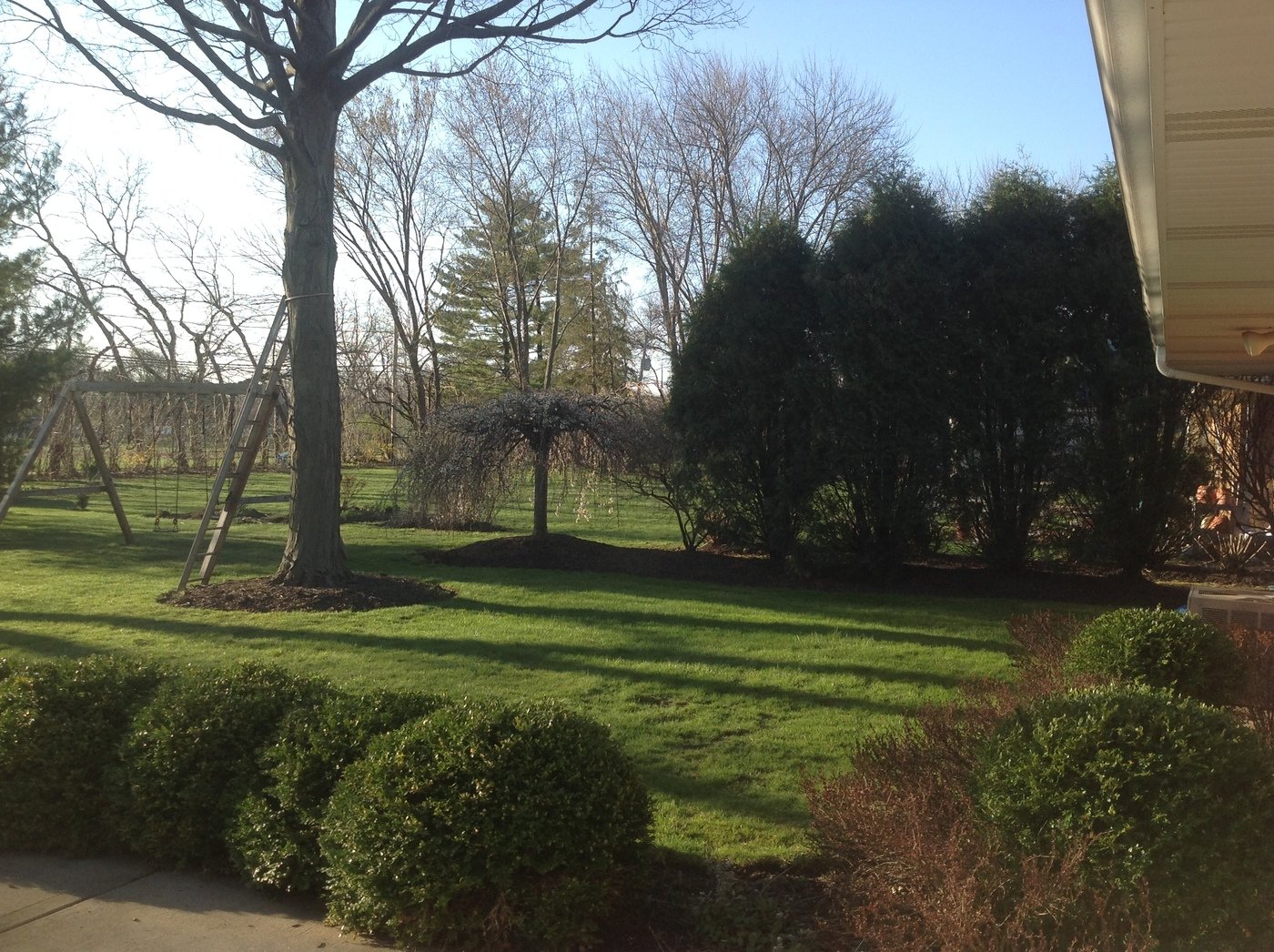 Homage Shoot by Jack Coney at Coroflot.com