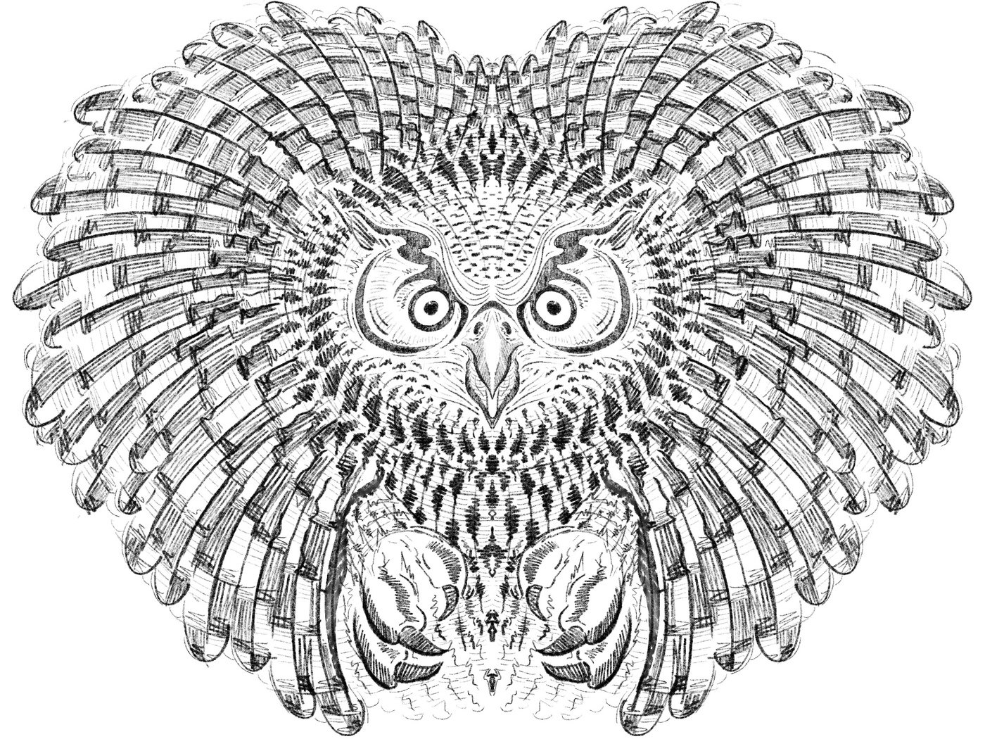 Vector Owls by Andrew Soper at Coroflot.com
