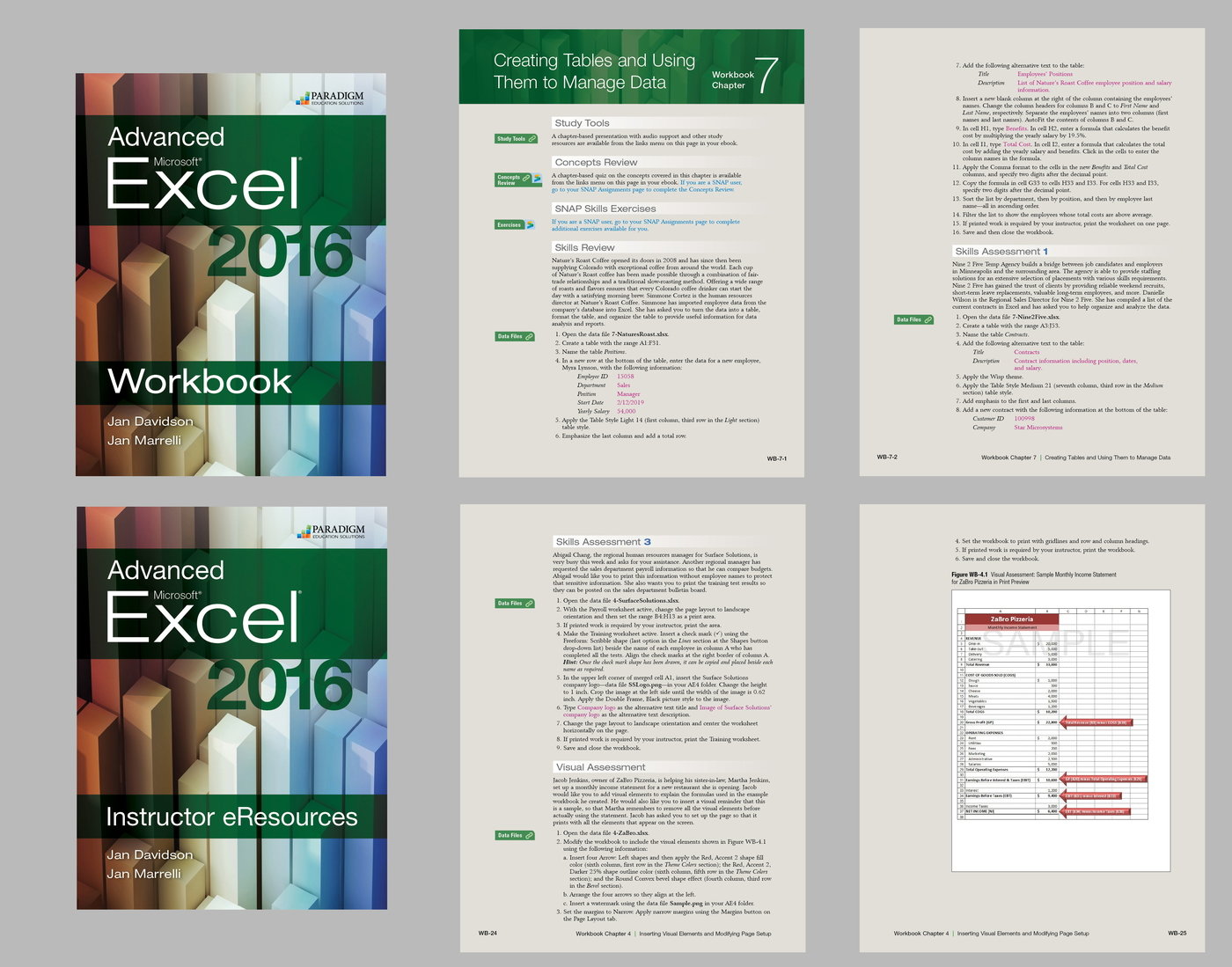 Advanced Excel 2016 by VALERIE A. KING at Coroflot.com