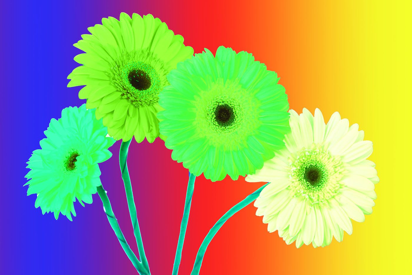 Trippy Flowers by Nathan Benitez at Coroflot.com