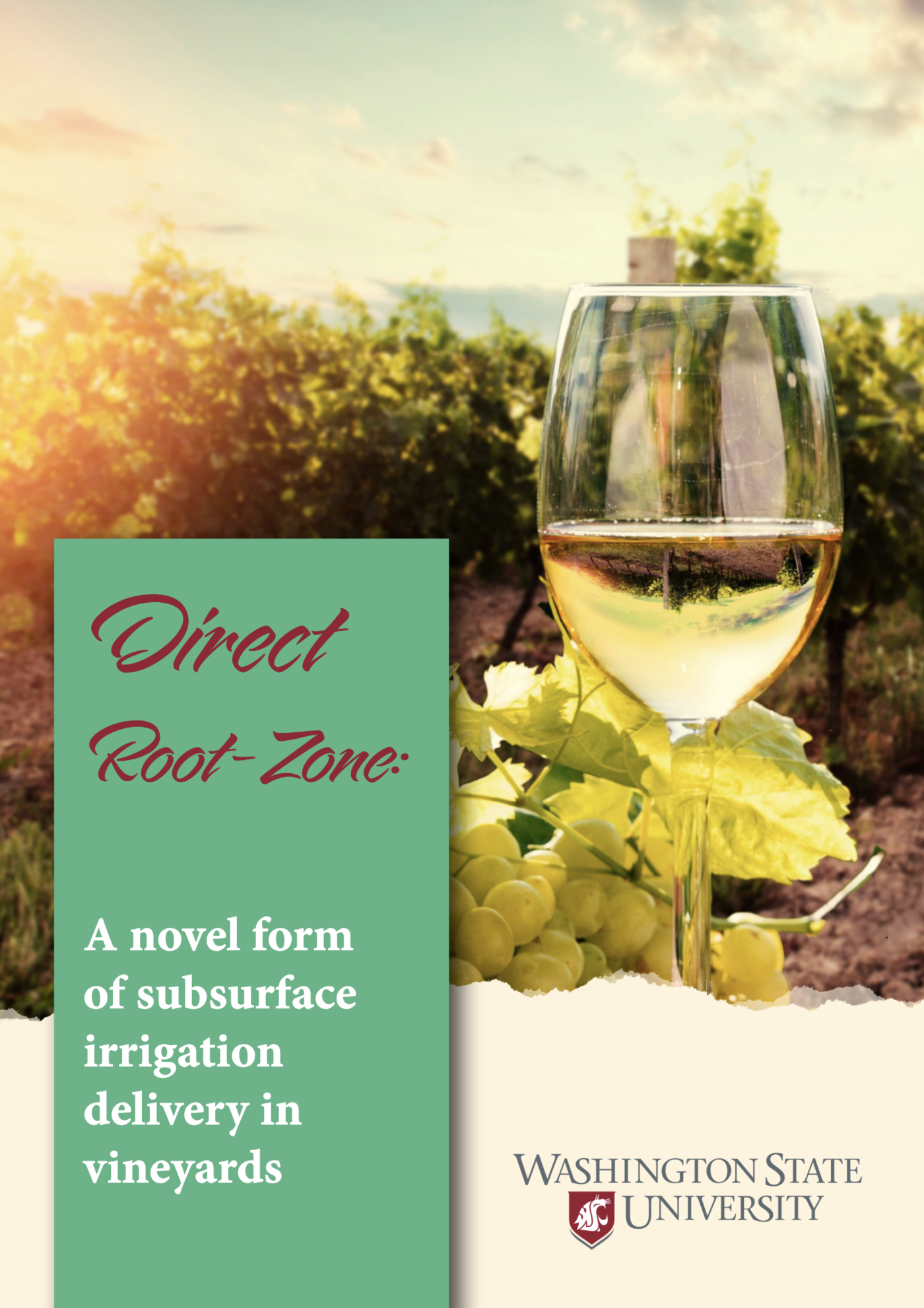 Direct Root Zone by James Wellstead at Coroflot.com