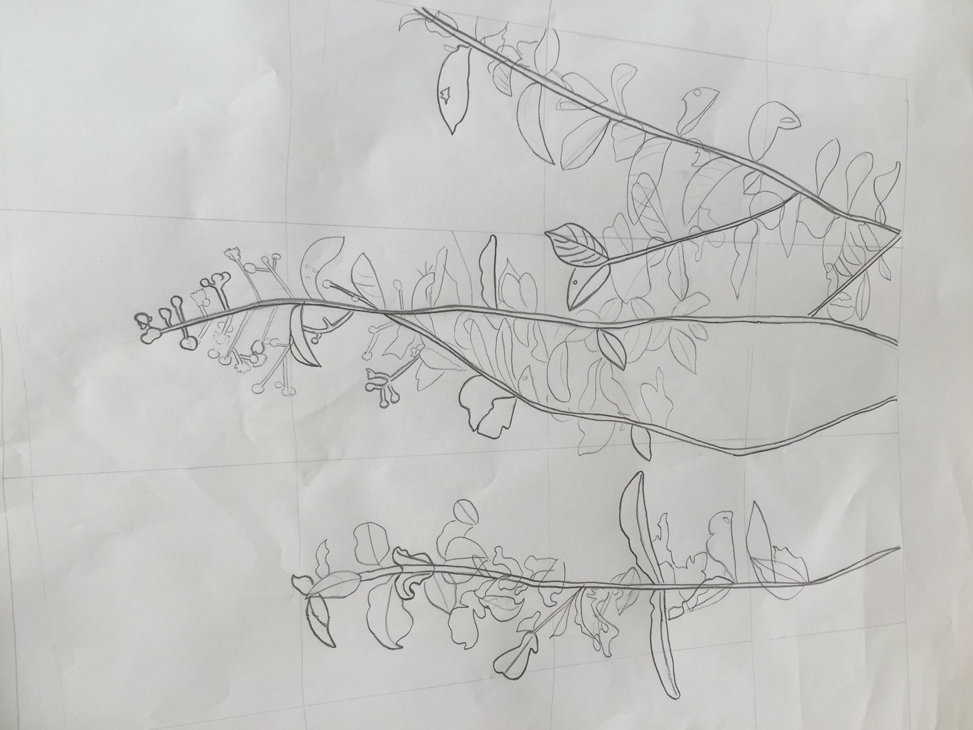 Contour Line Drawings by Piyamon Piyabootr at Coroflot.com