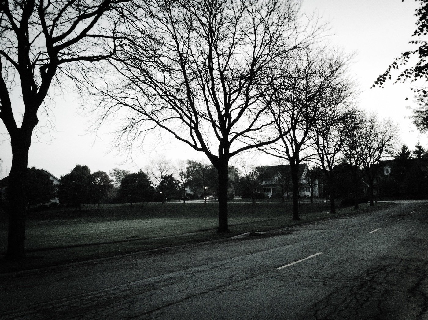 An upload by Nora Kujawa on Coroflot: to the project Homage Shoot