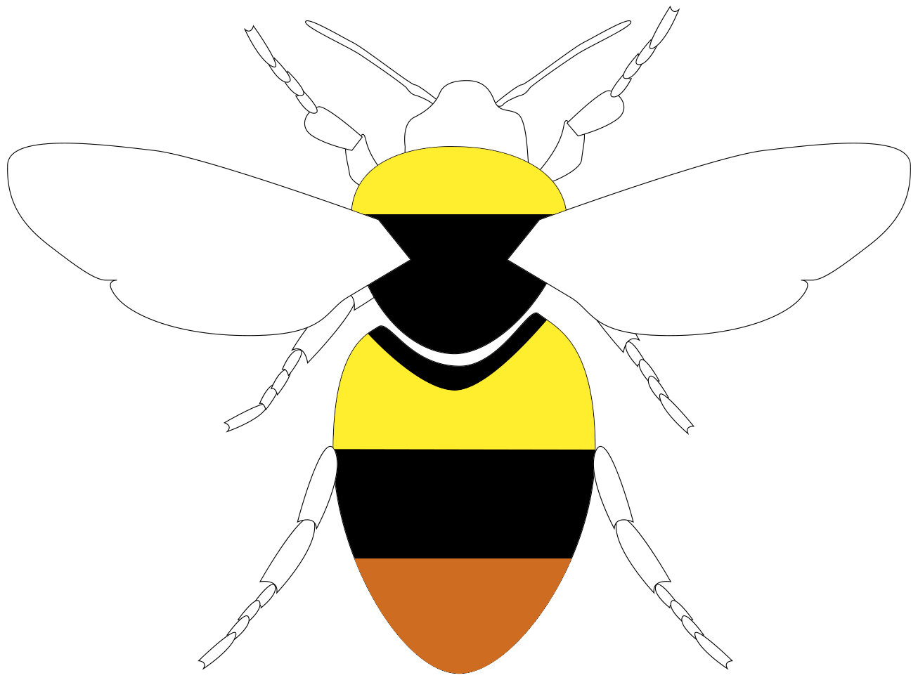 Irish Bumblebee ID Poster by Barbara Vasic at Coroflot.com