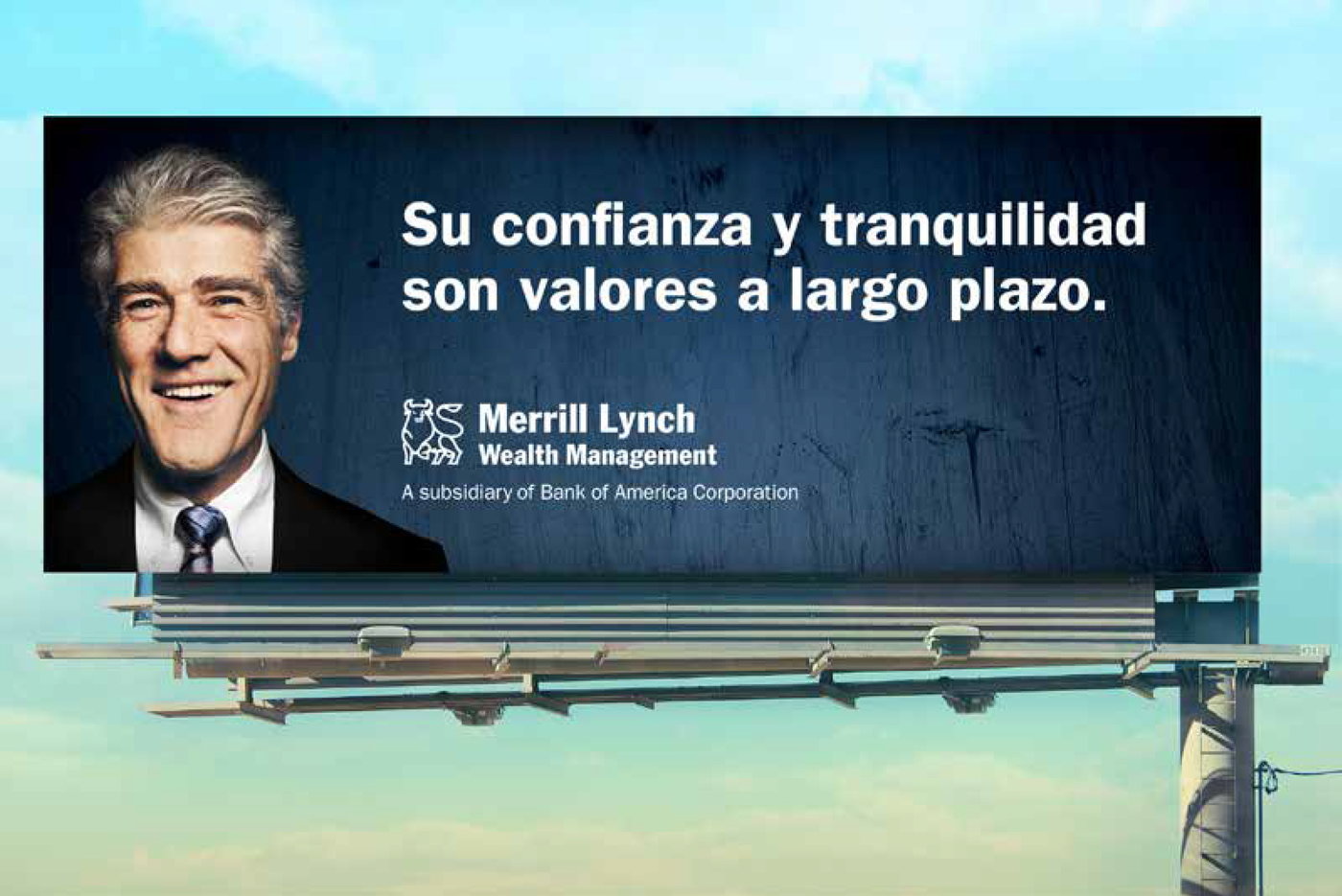 Merrill Lynch Wealth Management Flyers