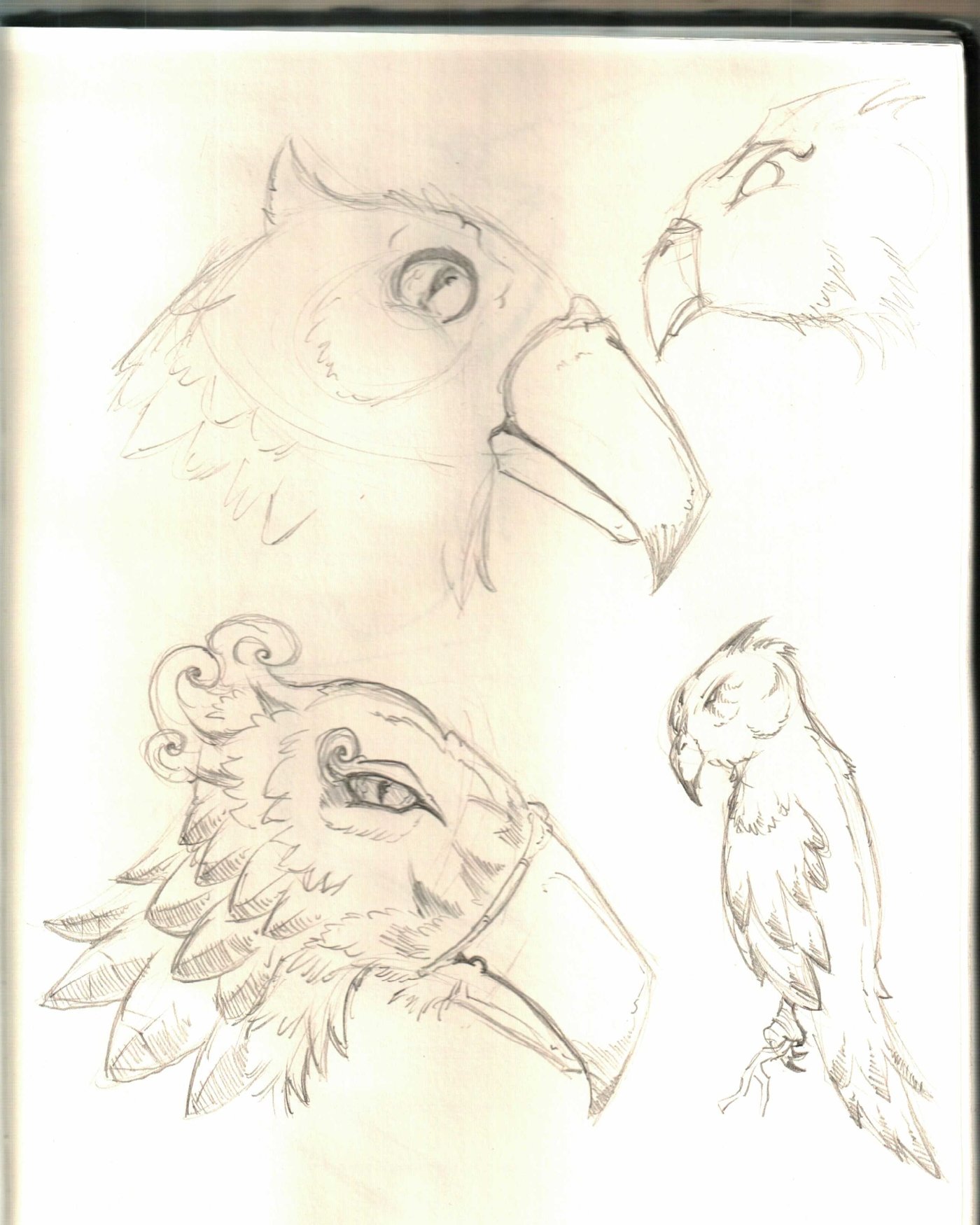 "Arabian Nights" Eagle puppet by Seth Shaw at Coroflot.com