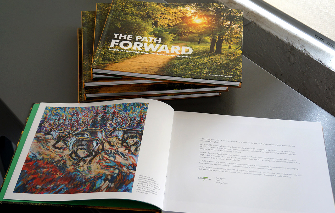 The Path Forward by Joe Gravel at Coroflot.com