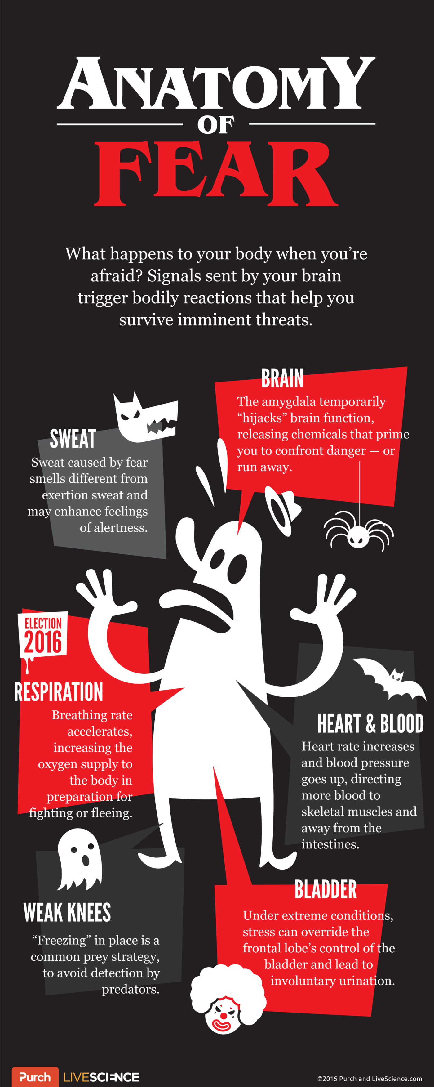 Anatomy of Fear Infographic by Mark Hardin at Coroflot.com