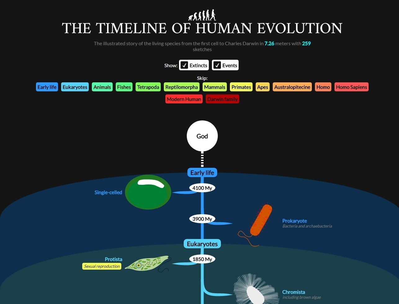 The timeline of human evolution by Christian Spreafico at Coroflot.com