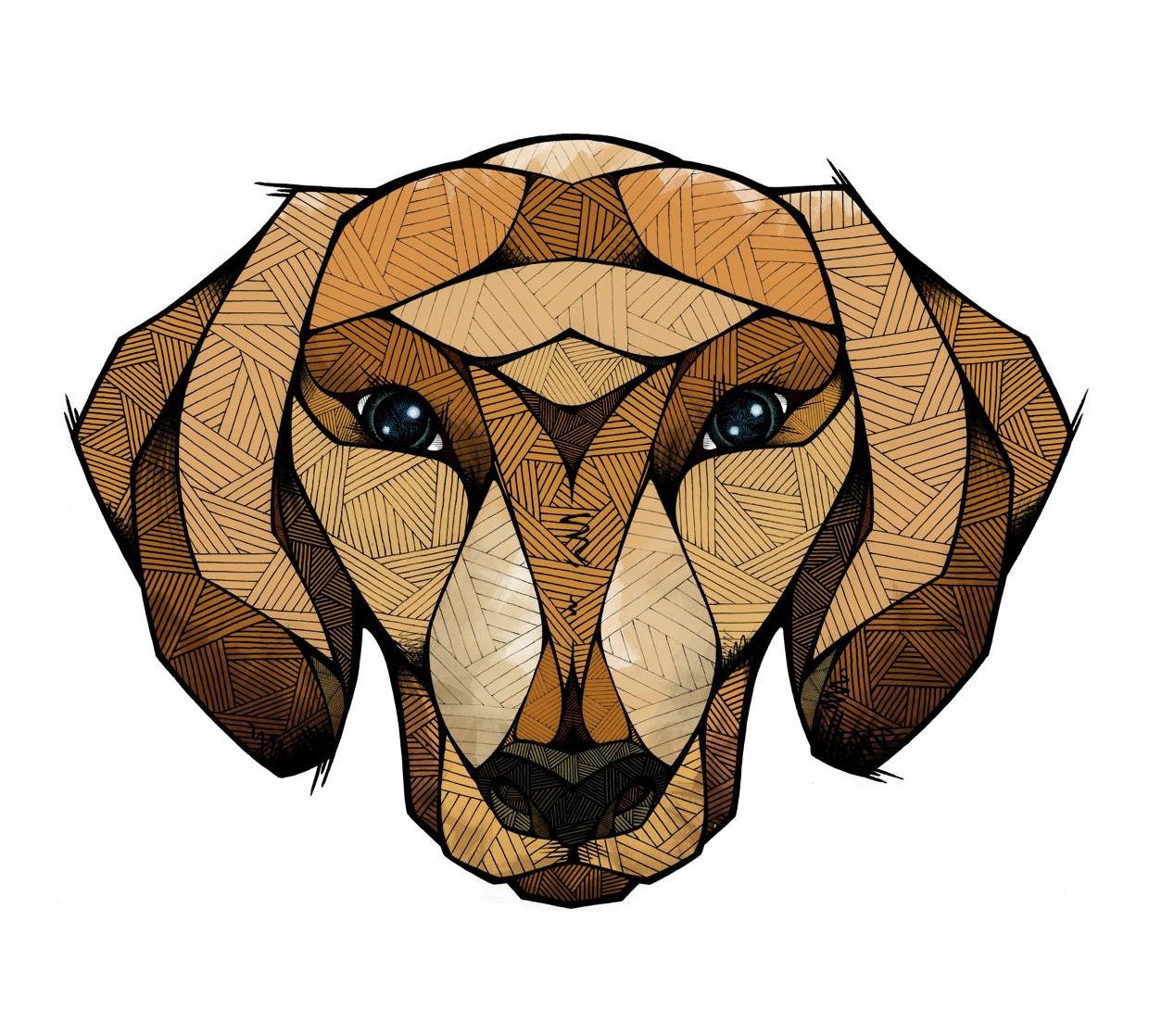 Abstract Animal Lines by Winston Lim at Coroflot.com