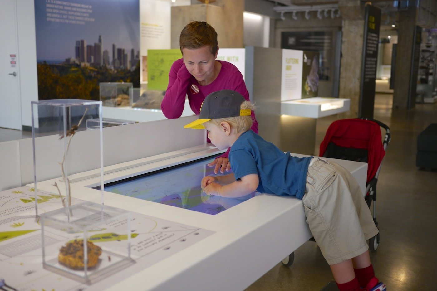 LA NHM - Nature Lab by Robert Creighton at Coroflot.com