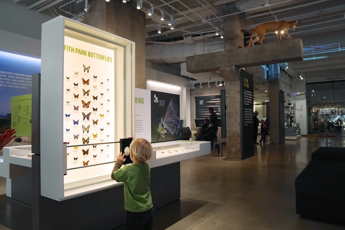 LA NHM - Nature Lab by Robert Creighton at Coroflot.com