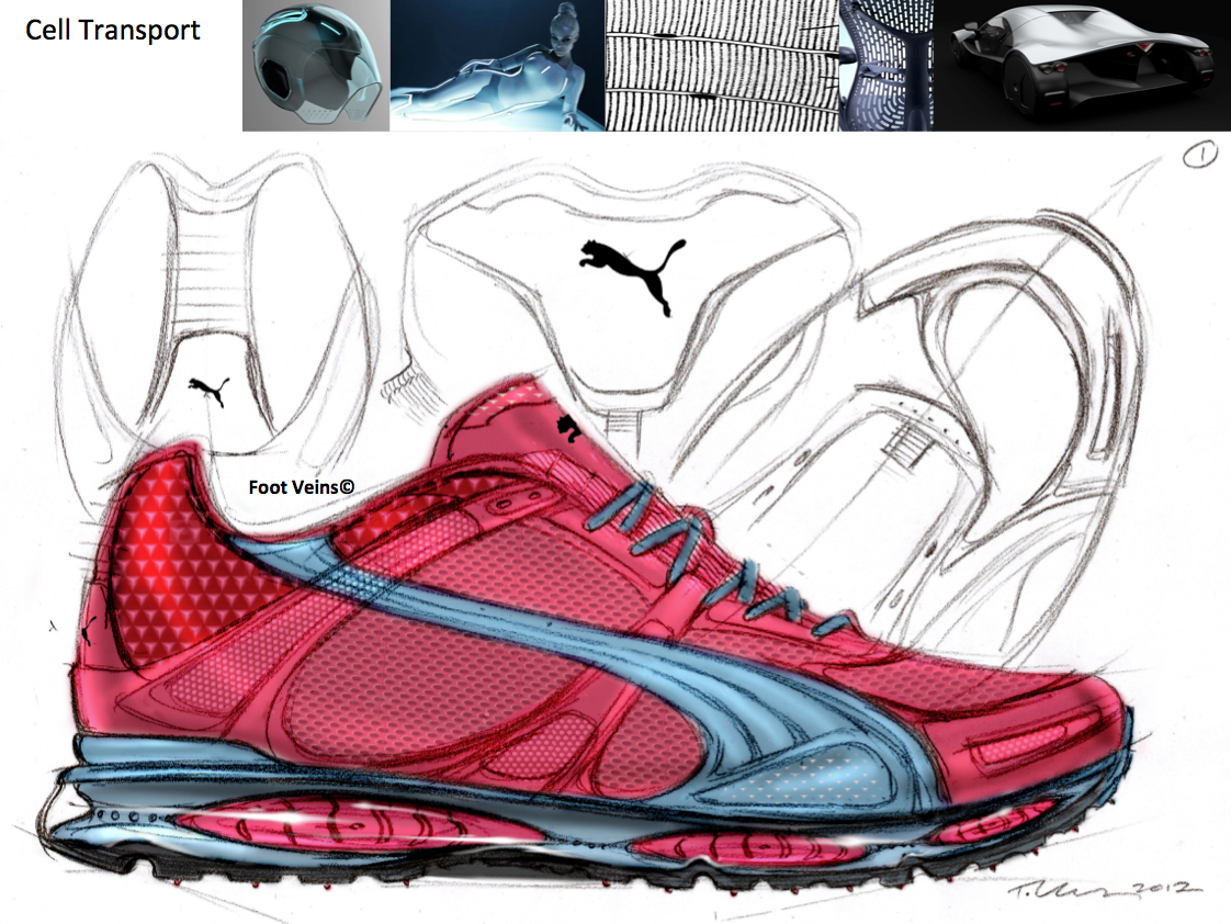 PUMA DESIGNS by Tobin Dorn at Coroflot.com